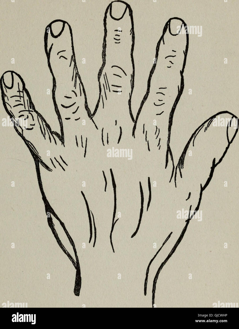 *Perin’s Science of Palmistry* (1902) is a detailed guide to the art of ...