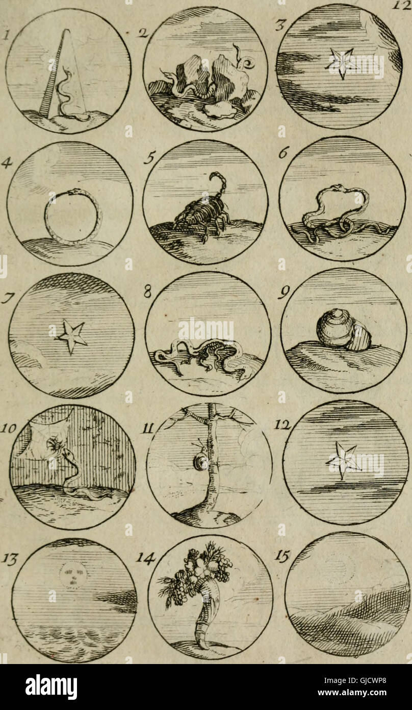 Recueil d'emblC3AAmes, devises, medailles, et figures hieroglyphiques ...