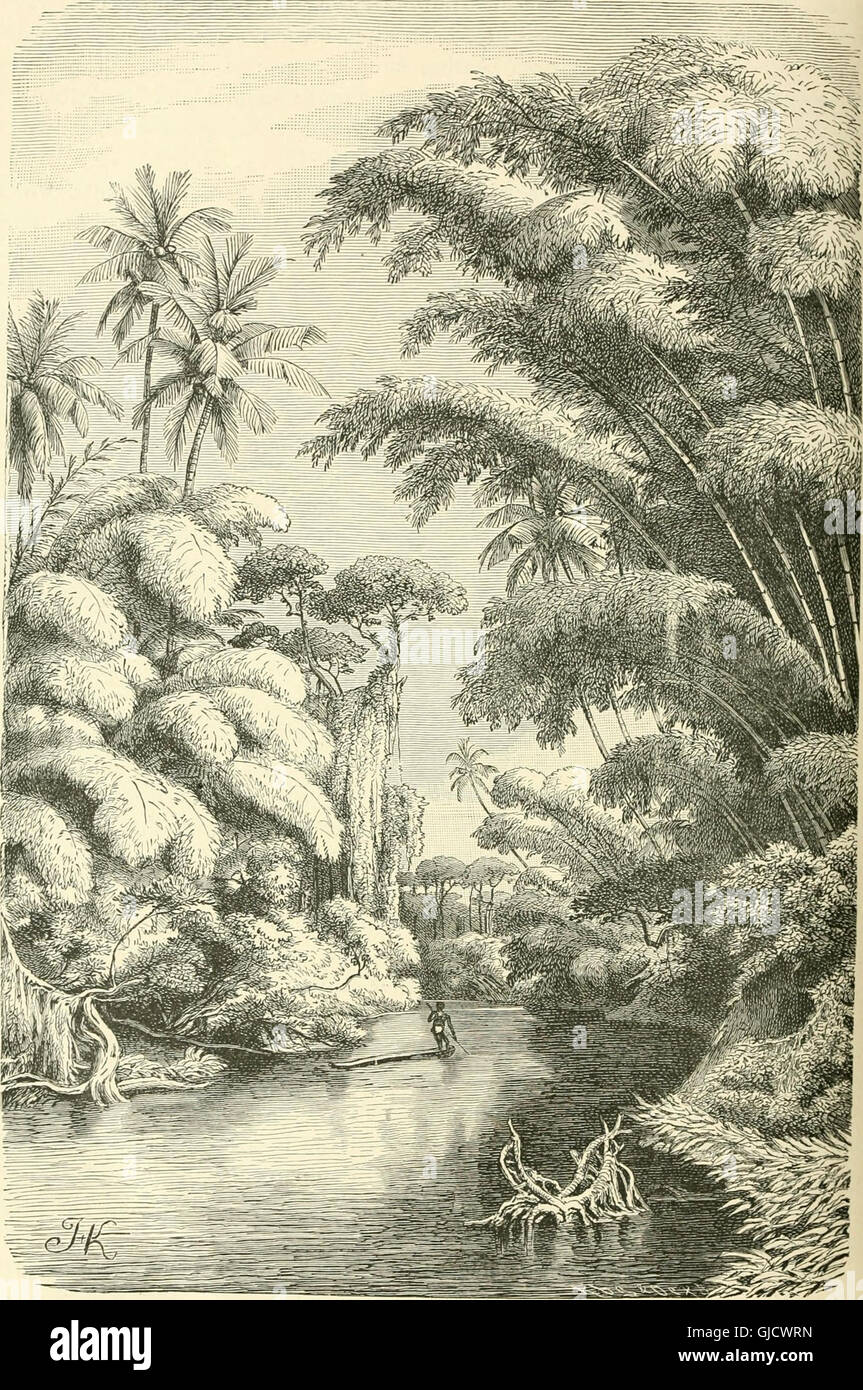 The 1902 work 'The Natural History of Plants' provides an in-depth ...