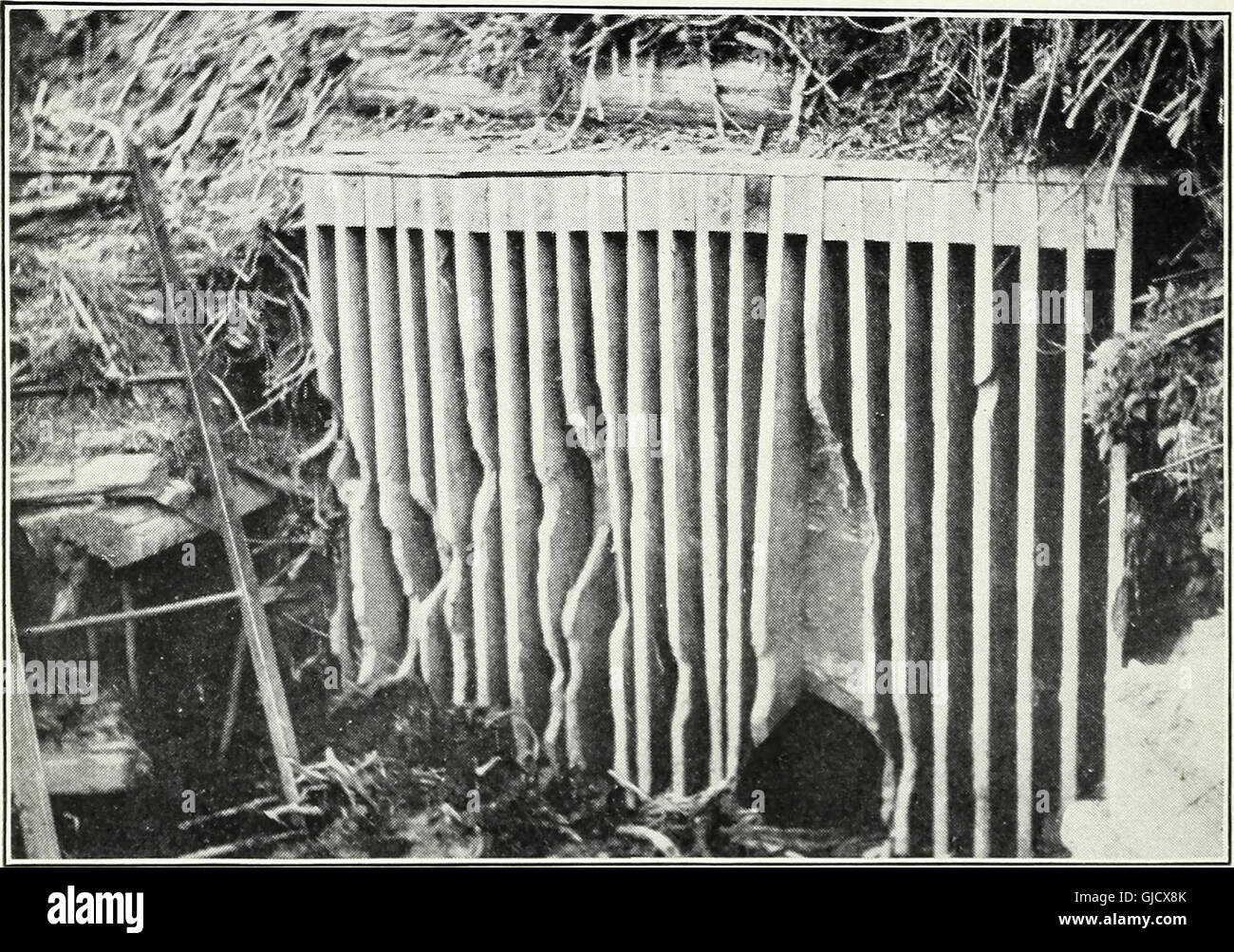 This 1978 report discusses beaver behavior, control methods, and the ...