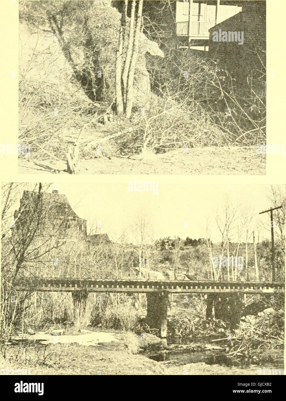 This work details the behavior, habitat, and ecological impact of ...