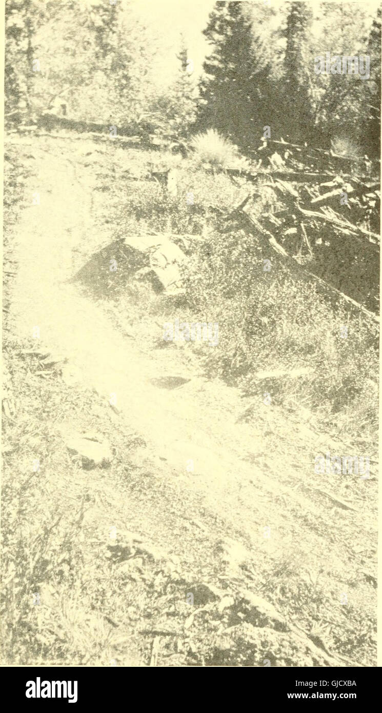 A 1927 work examining the behaviors and environmental impact of beavers ...