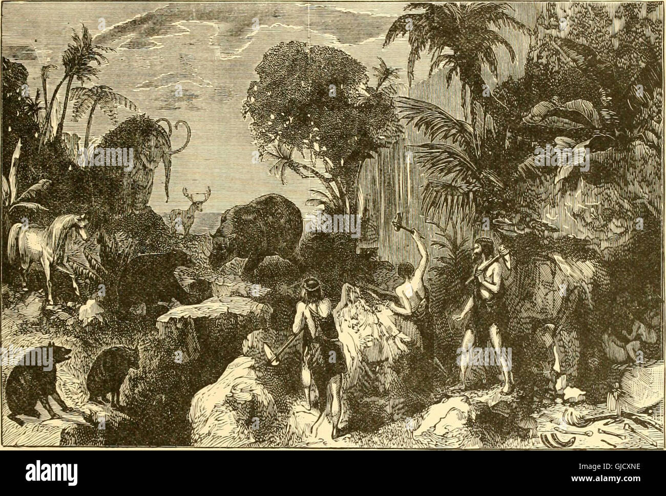 'The World: Historical and Actual' (1886) explores significant ...