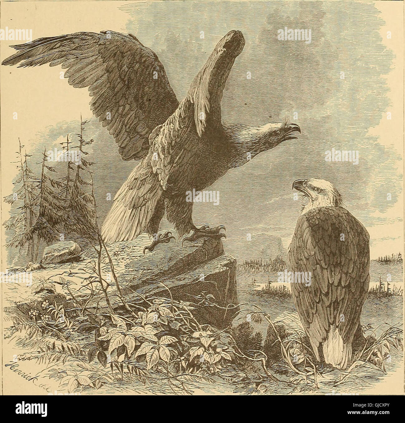 An 1889 collection of essays discussing American art and its ...