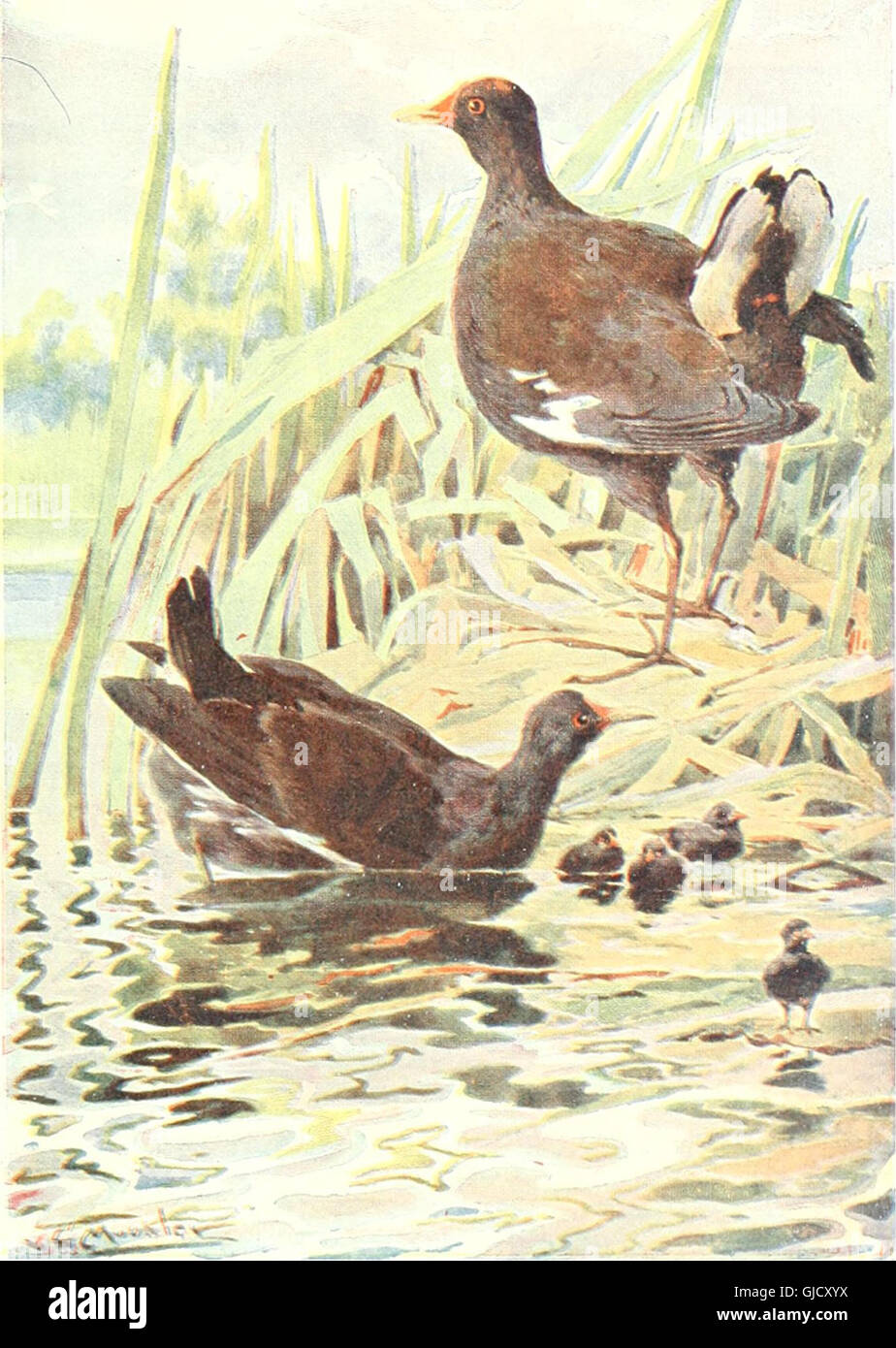 'Eyes and No Eyes' (1903) is a philosophical work exploring perception ...