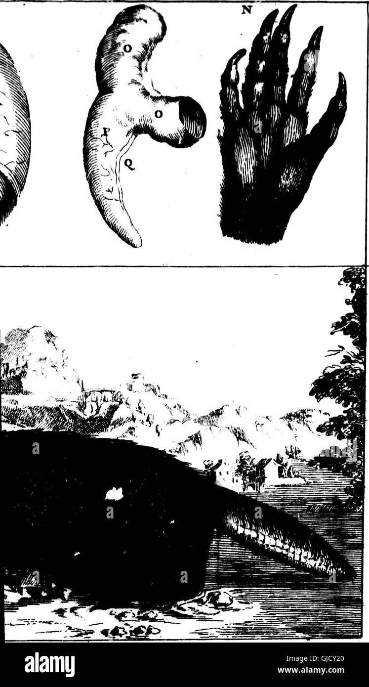 This 1746 work discusses the nature, properties, and medicinal uses of ...