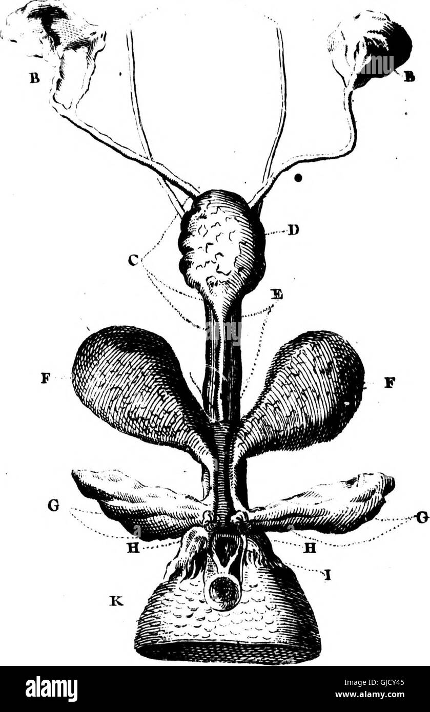 Natural history treatise Black and White Stock Photos & Images - Alamy