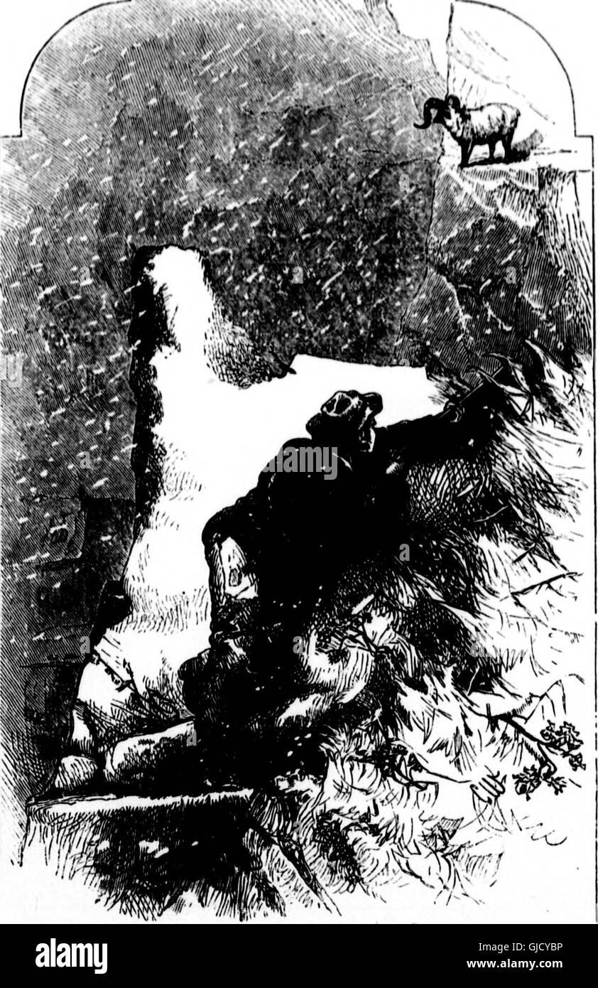 This 1876 work describes the habitat of the wolverine and beaver ...