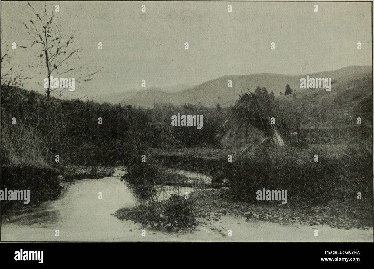 Published in 1905, 'Western Field' focuses on the life and landscapes ...