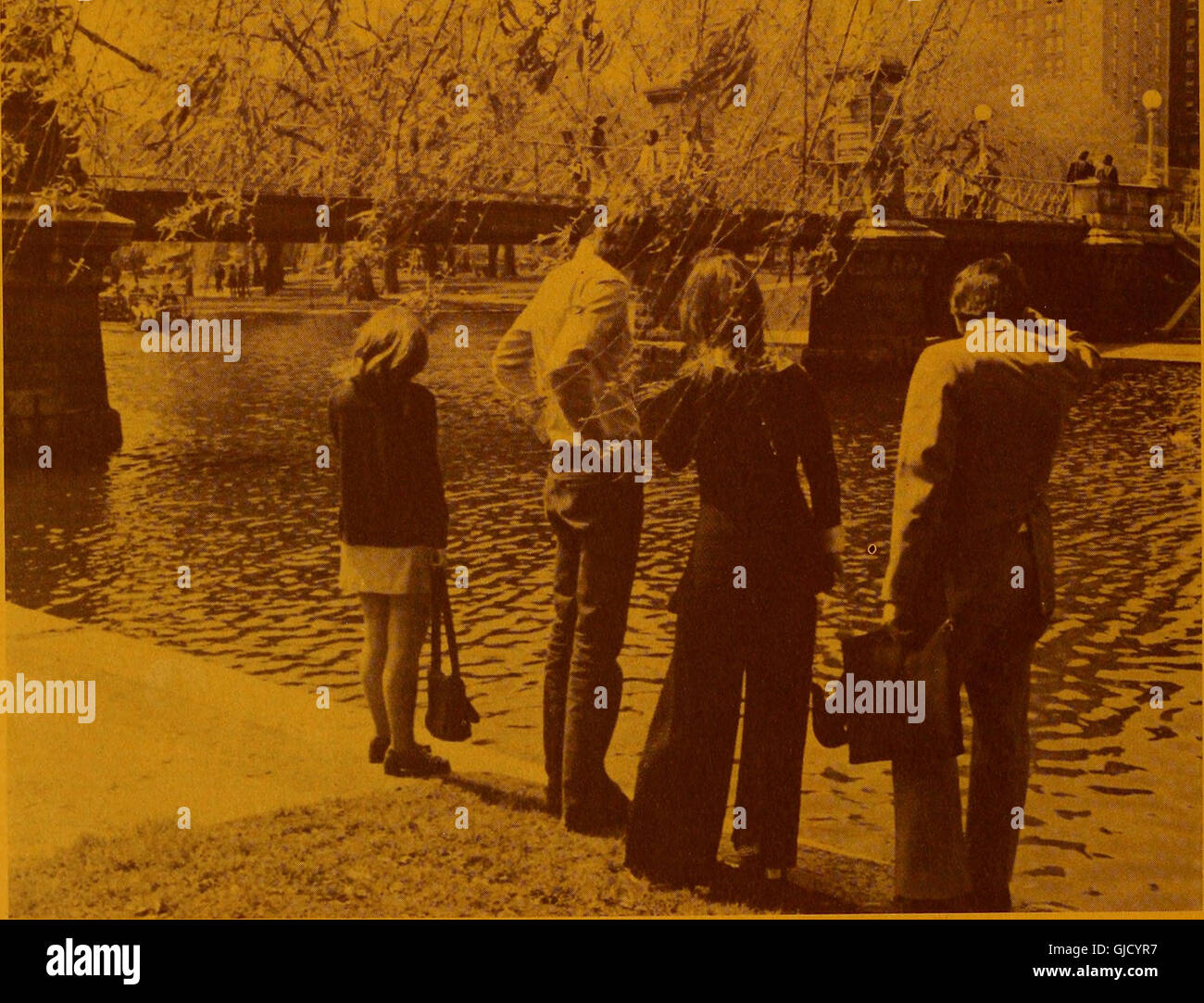 The 1974 course catalog lists academic programs, courses, and degrees ...