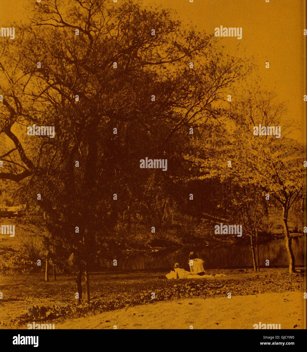 This course catalog from 1974 provides a listing of academic programs ...