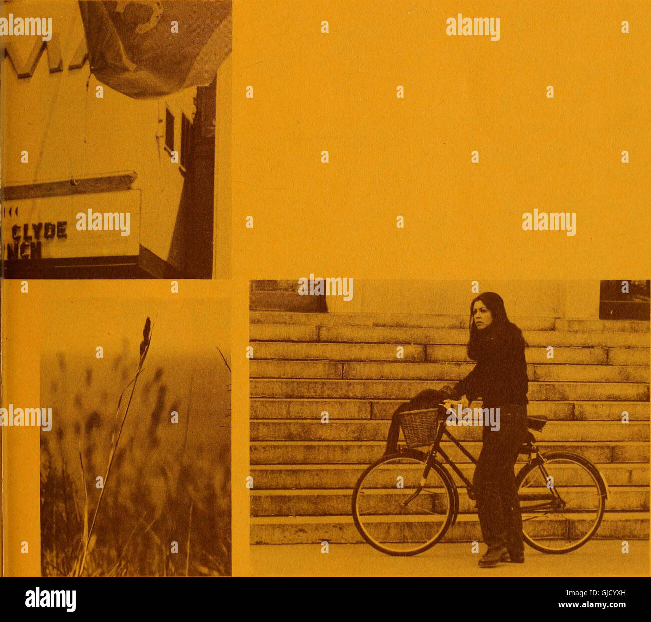 The 1974 course catalog provides a comprehensive listing of courses ...