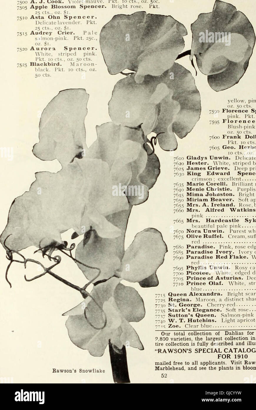 Rawsons Stock Photos & Rawsons Stock Images - Alamy