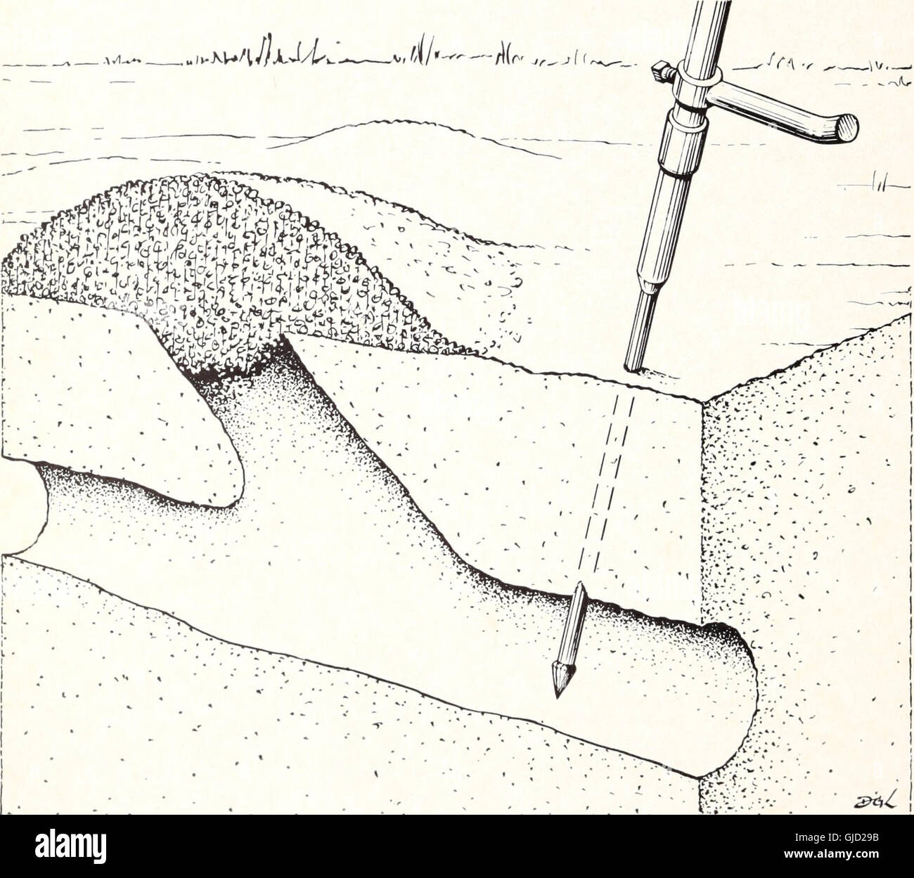 Control field rodents on california hi-res stock photography and images ...