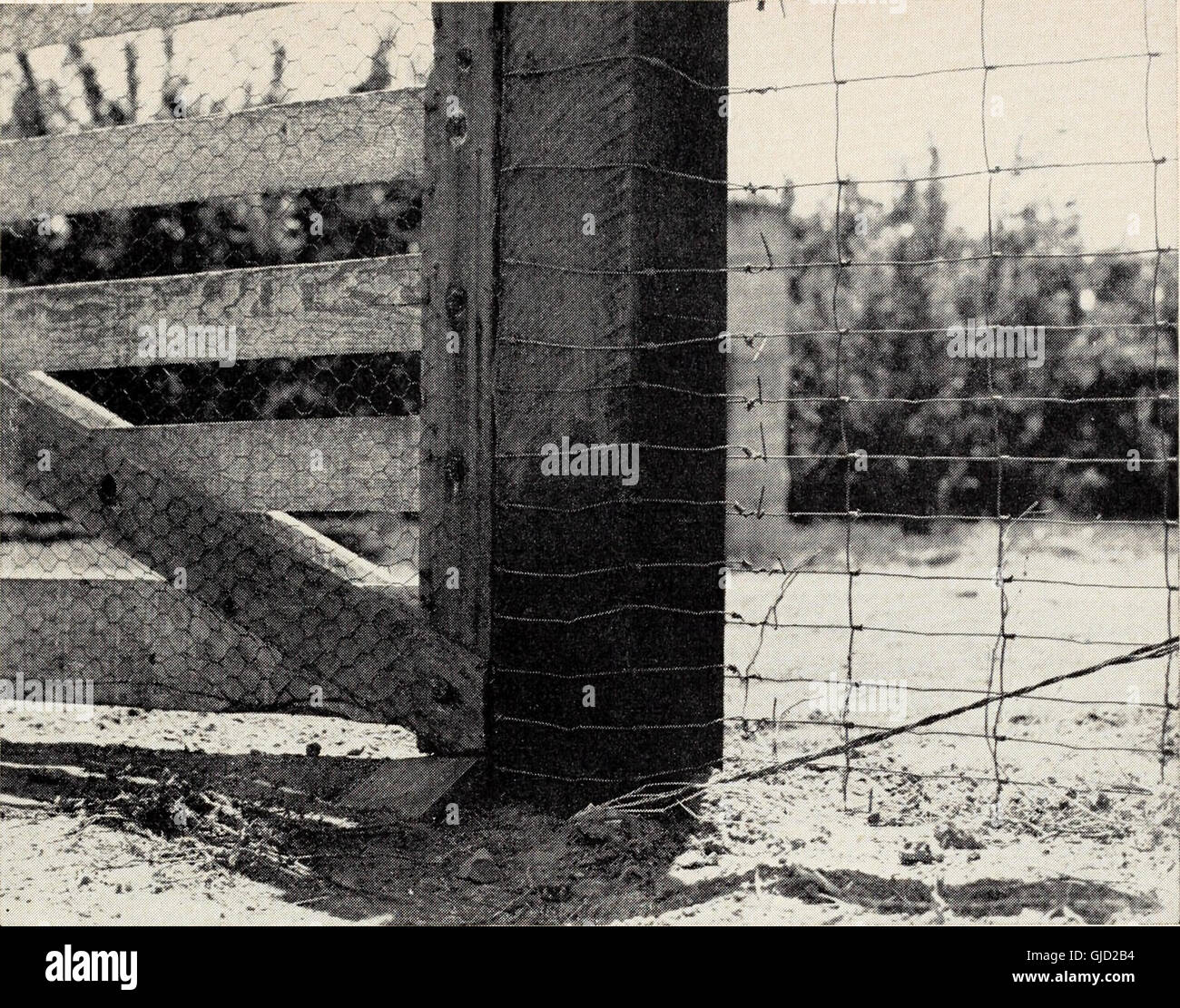 Controlling Field Rodents in California, published in 1953, discusses ...
