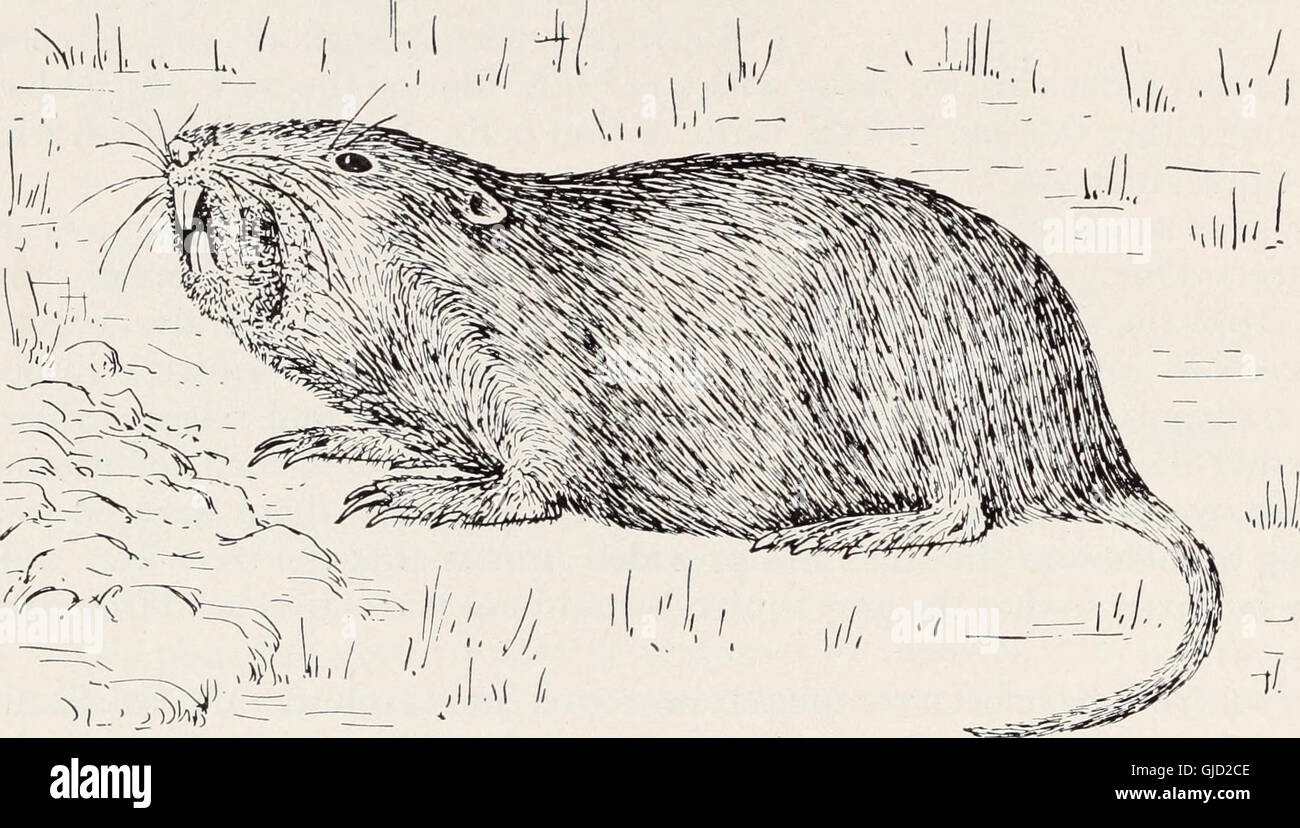 The 'Control of Field Rodents in California' (1947) discusses methods ...
