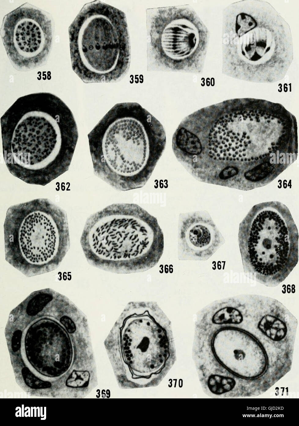 'The Coccidian Parasites of Rodents' (1965) examines the coccidian ...