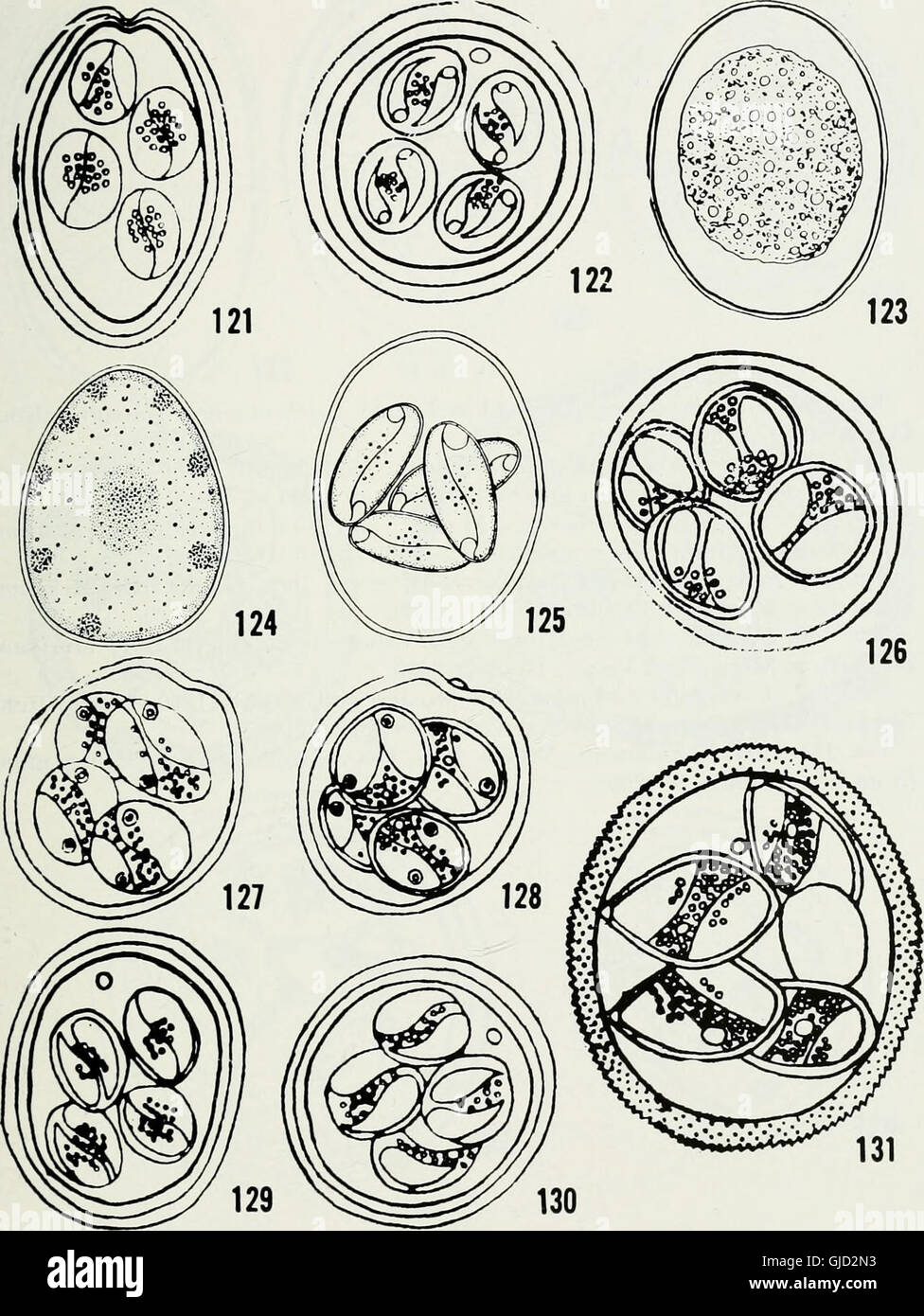 'The Coccidian Parasites of Rodents' (1965) studies the protozoan ...