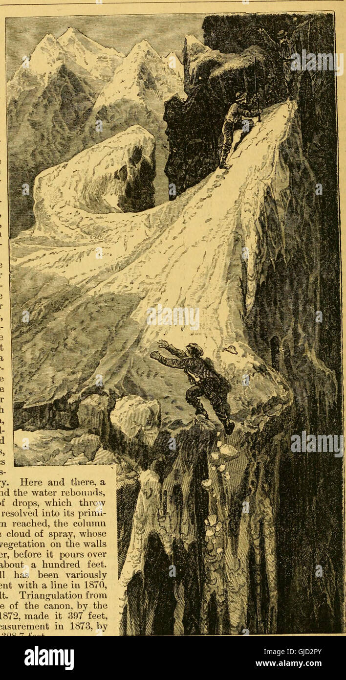 This illustrated guide provides detailed descriptions of ...