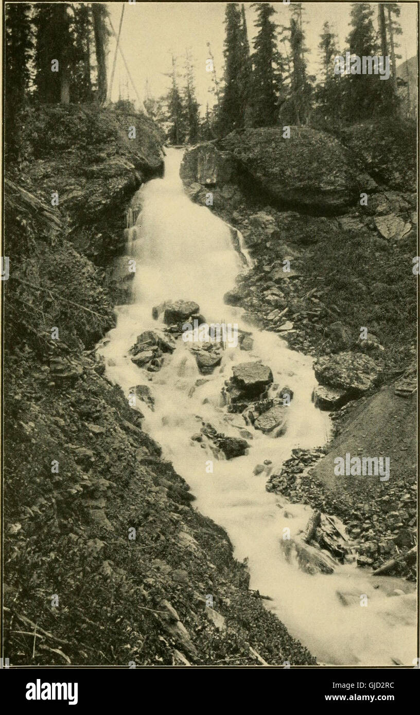'The Passing of the Storm, and Other Poems' (1907) is a collection of ...