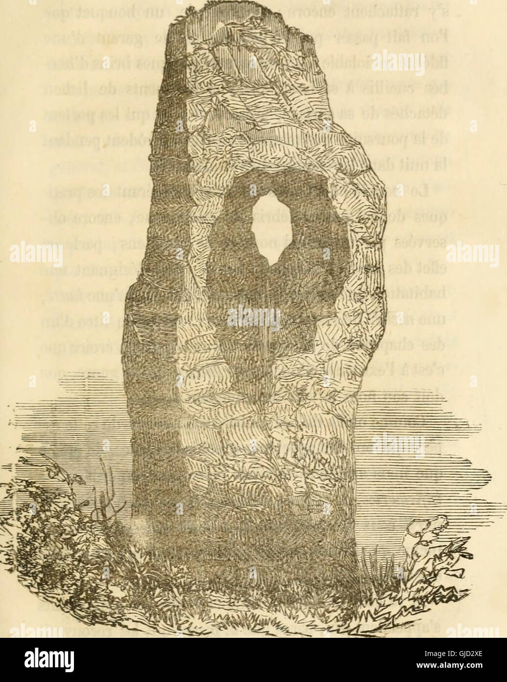 This 1854 work investigates the origins of leper colonies, including ...