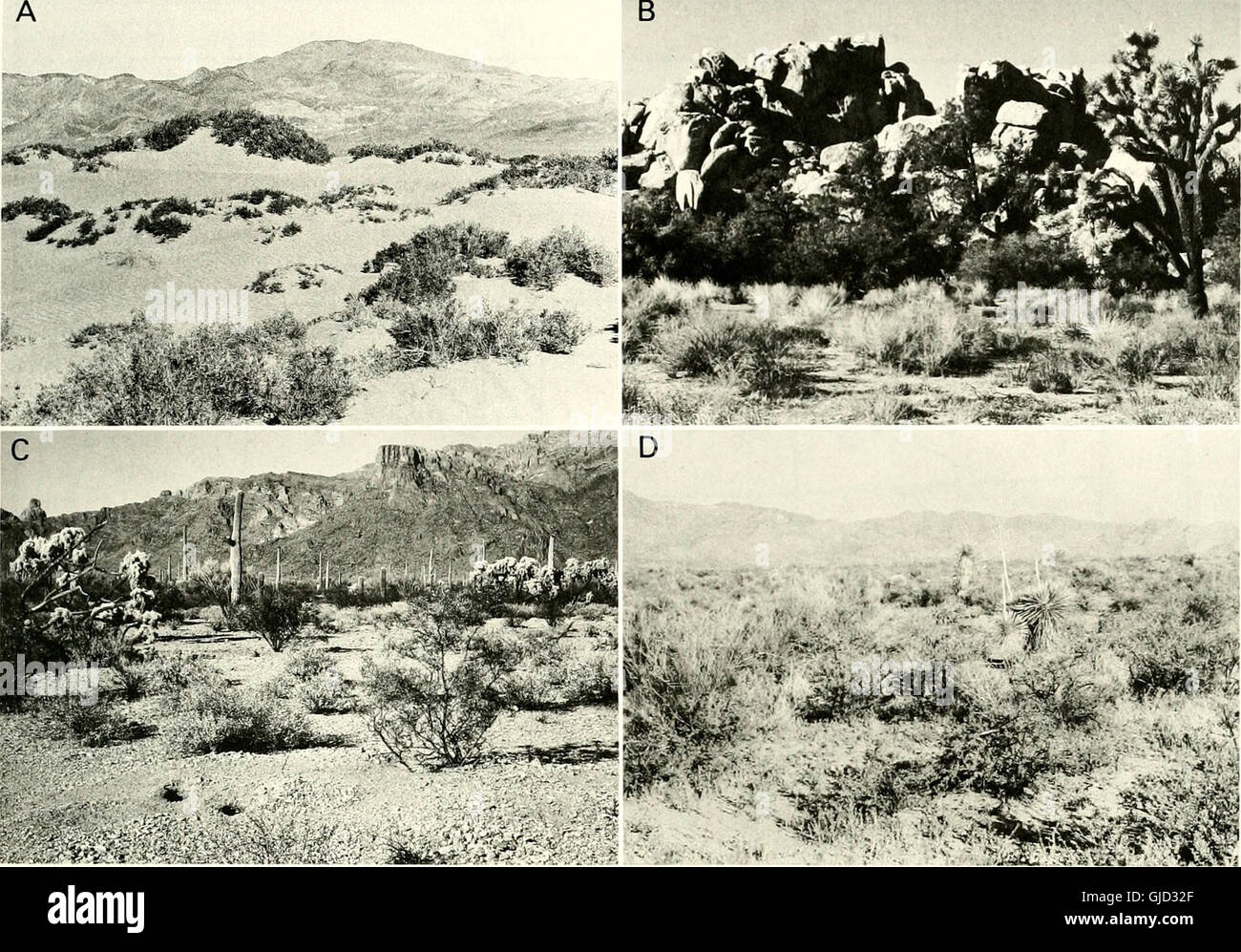 'Biology of the Heteromyidae' (1993) provides an in-depth examination ...
