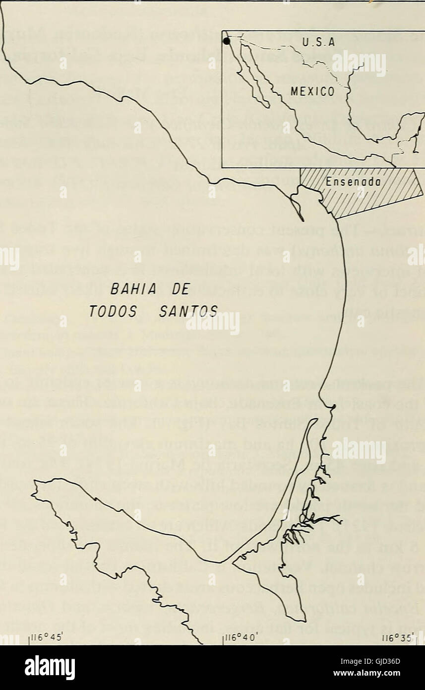 The 'Bulletin' is a periodical publication starting in 1971, providing ...