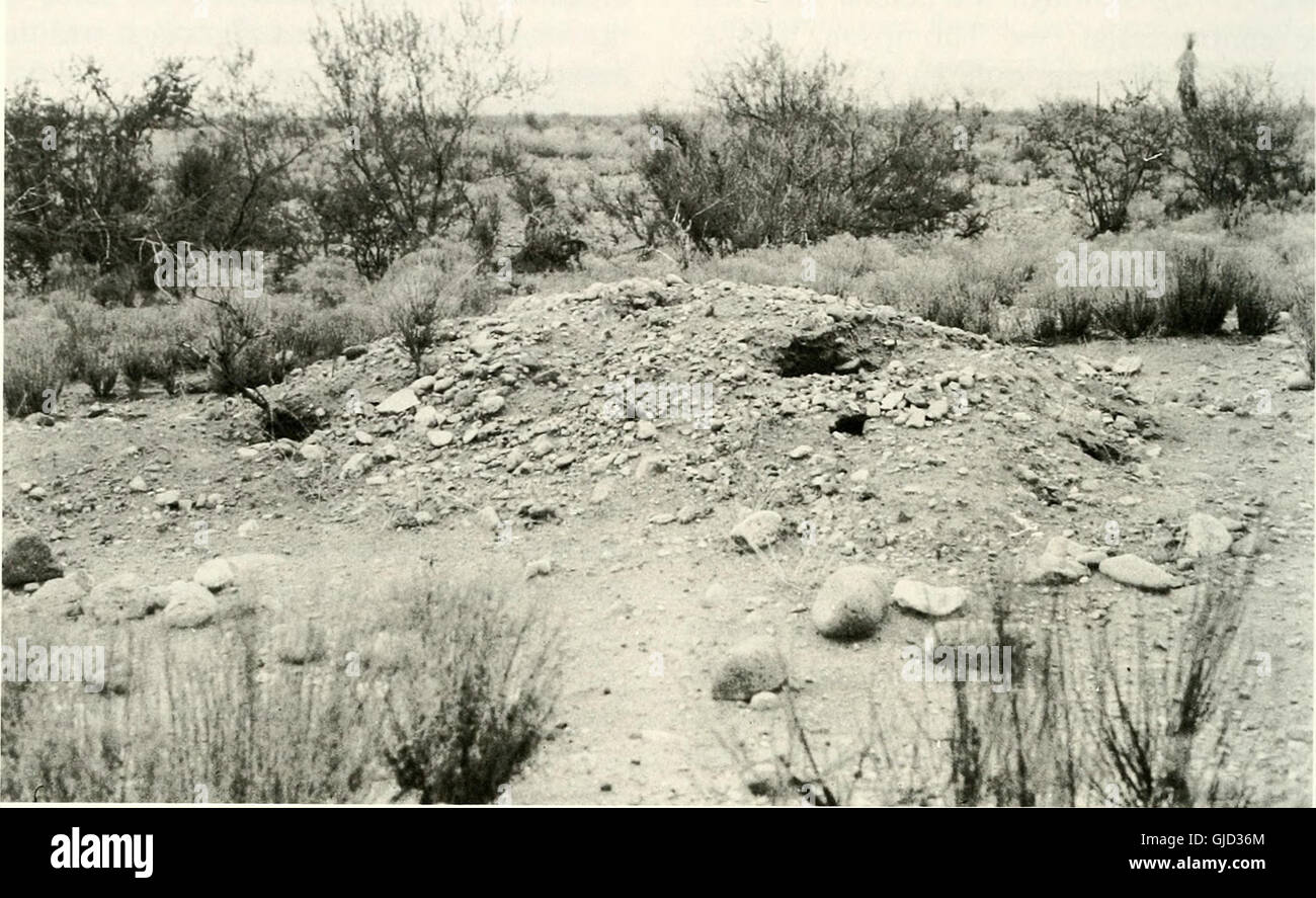 *Biology of the Heteromyidae* (1993) is a scientific work focused on ...