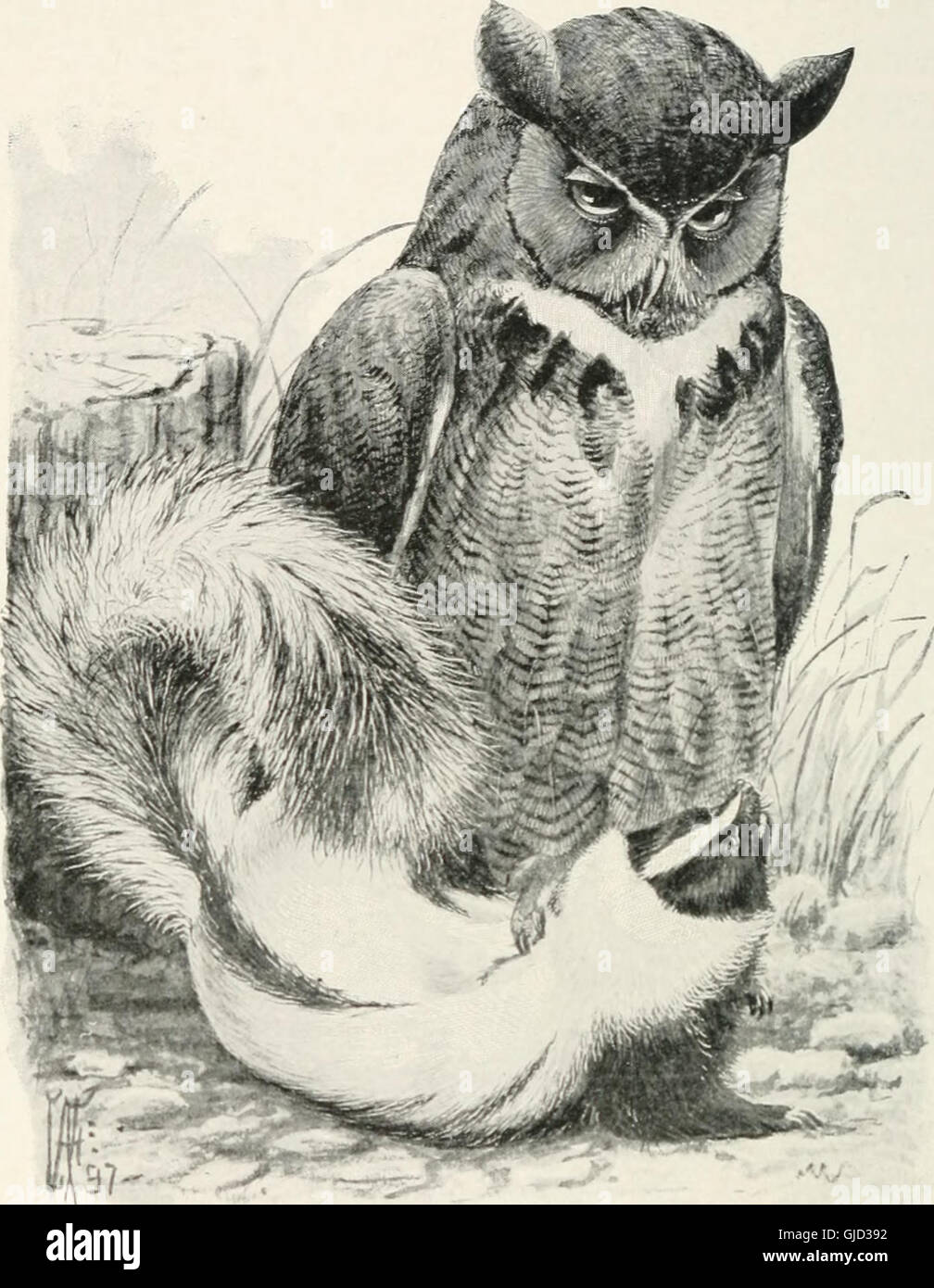 'Citizen Bird' (1923) is an educational book designed to introduce ...