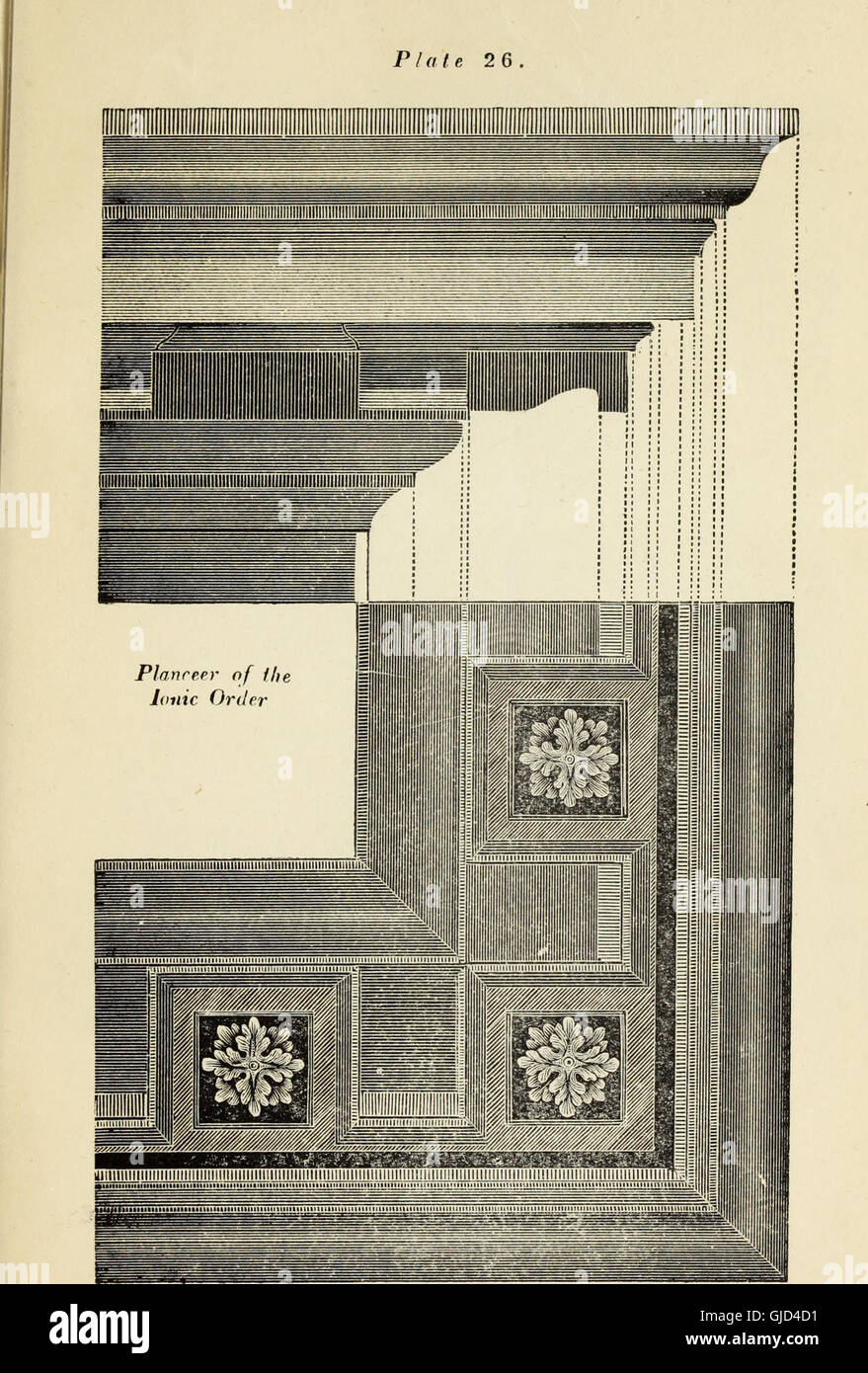 Classical orders drawing hi-res stock photography and images - Alamy