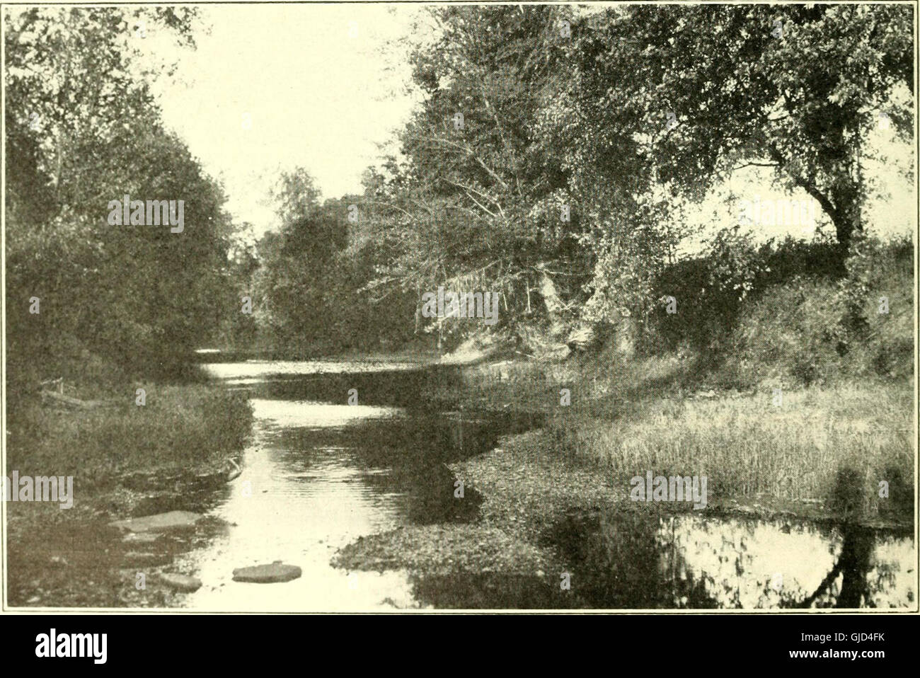 This 1915 book provides a comprehensive history of Indiana, covering ...