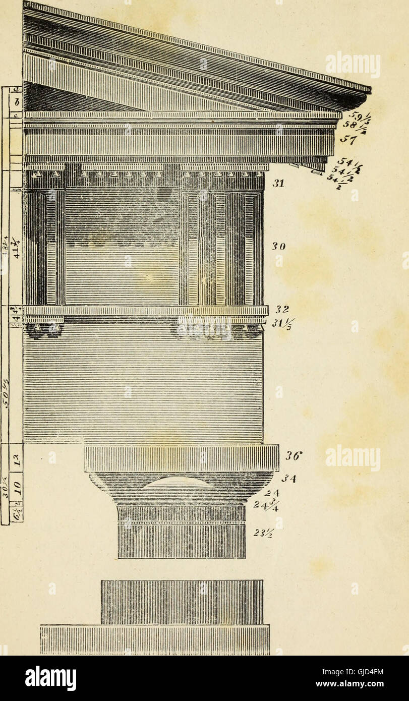 This guide offers a detailed explanation of the five orders of ...