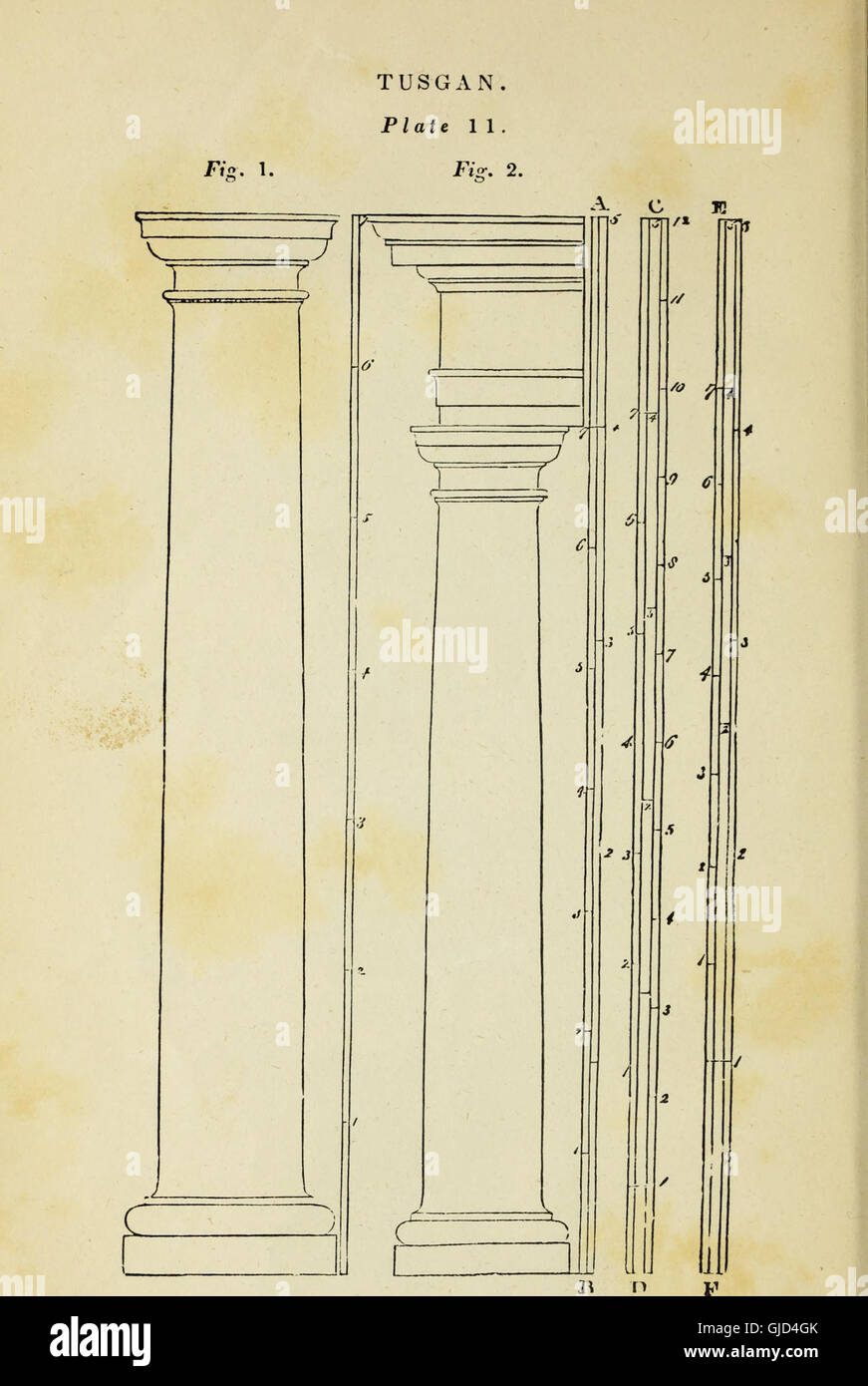 Classical orders drawing hi-res stock photography and images - Alamy