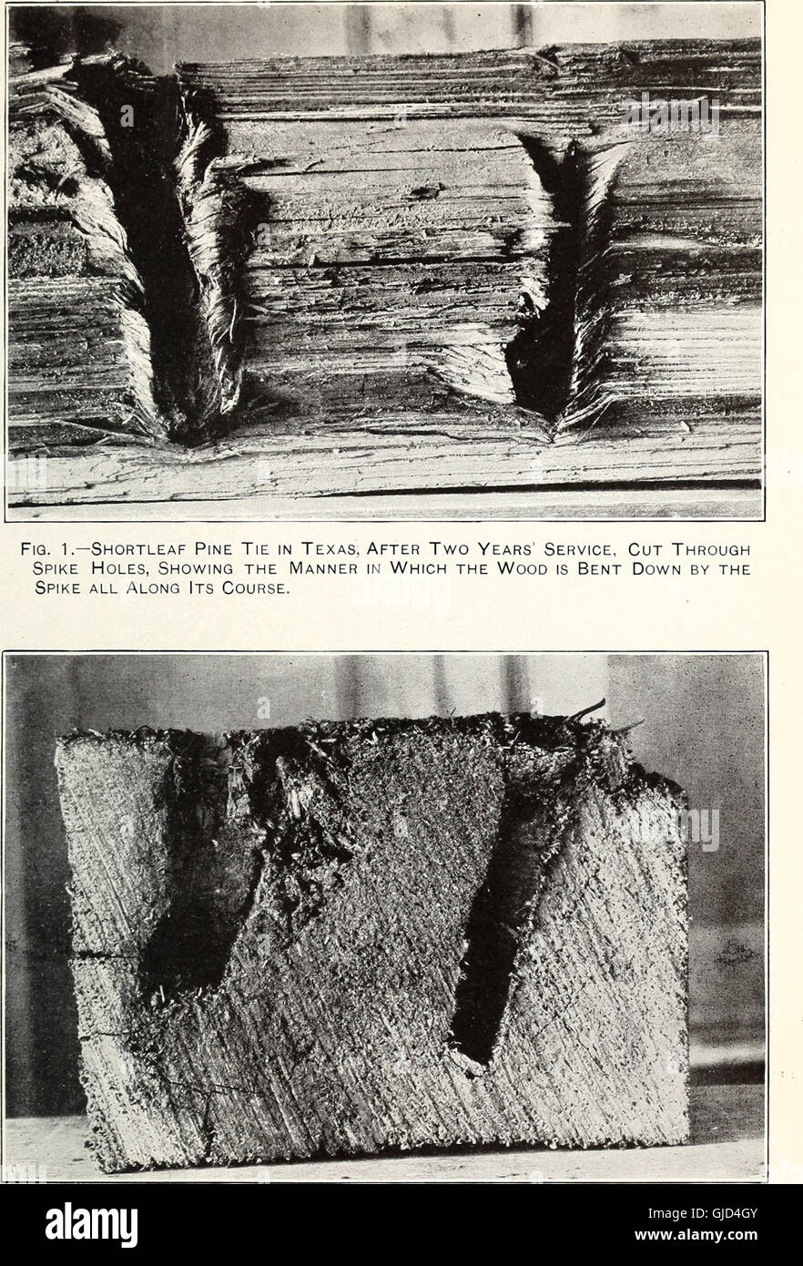 'Cross Tie Forms and Rail Fastenings' (1904) is a technical document ...