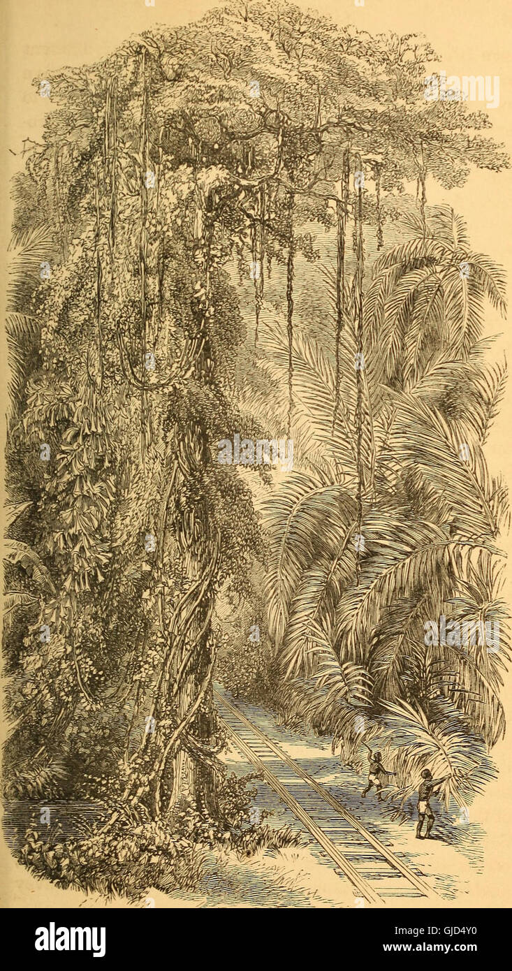 This illustrated history of the Panama Railroad covers its construction ...