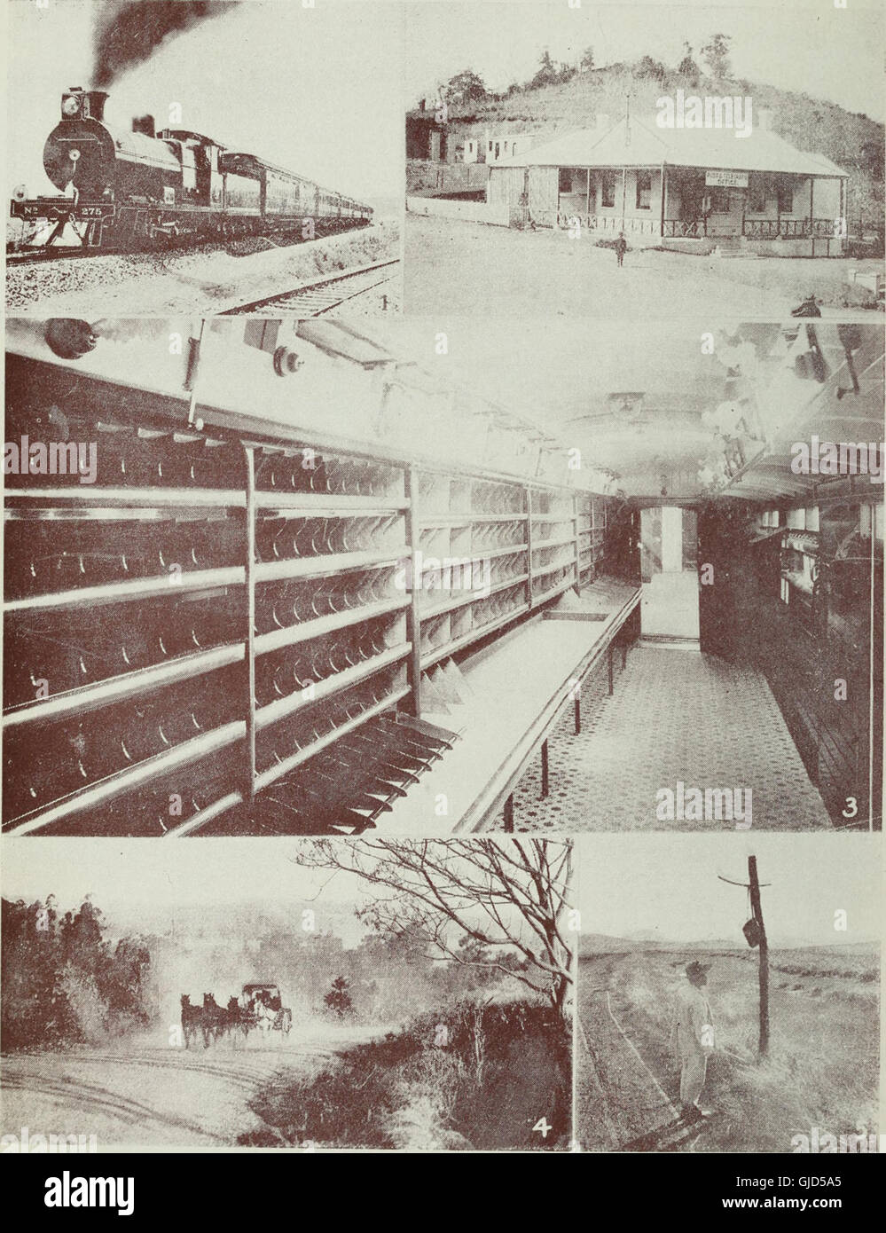 The 1911 'Natal Province Guide' provides an overview of the region’s ...