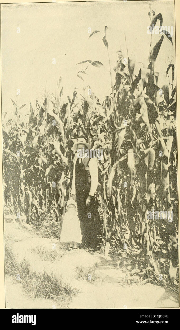 A 1911 study discussing the use of dynamite in agricultural practices ...