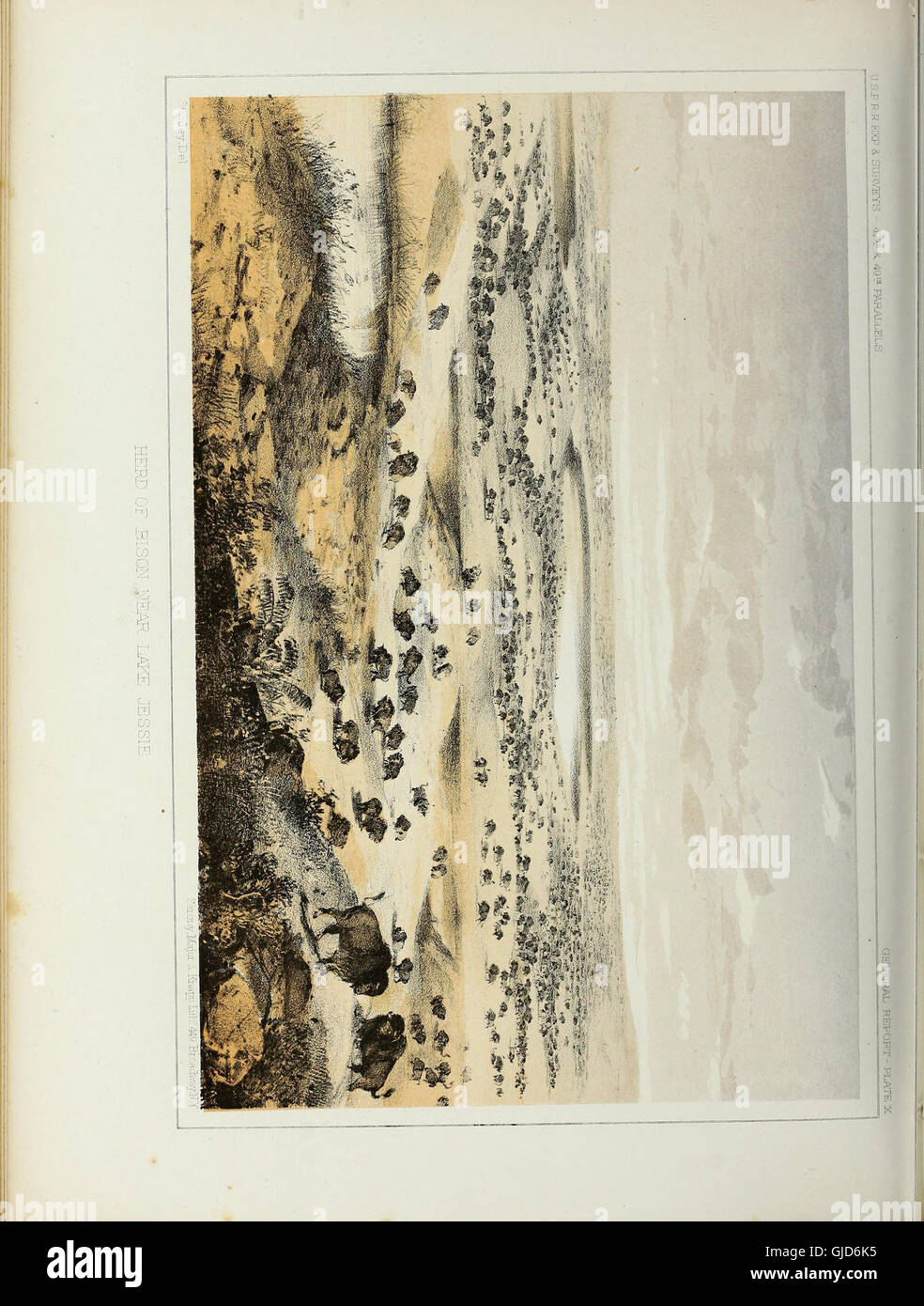 This 1855 report details the surveys and explorations conducted to ...