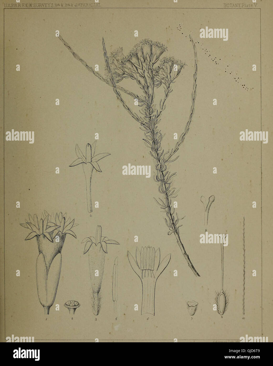 The 1855 report documents the exploration and survey efforts to ...