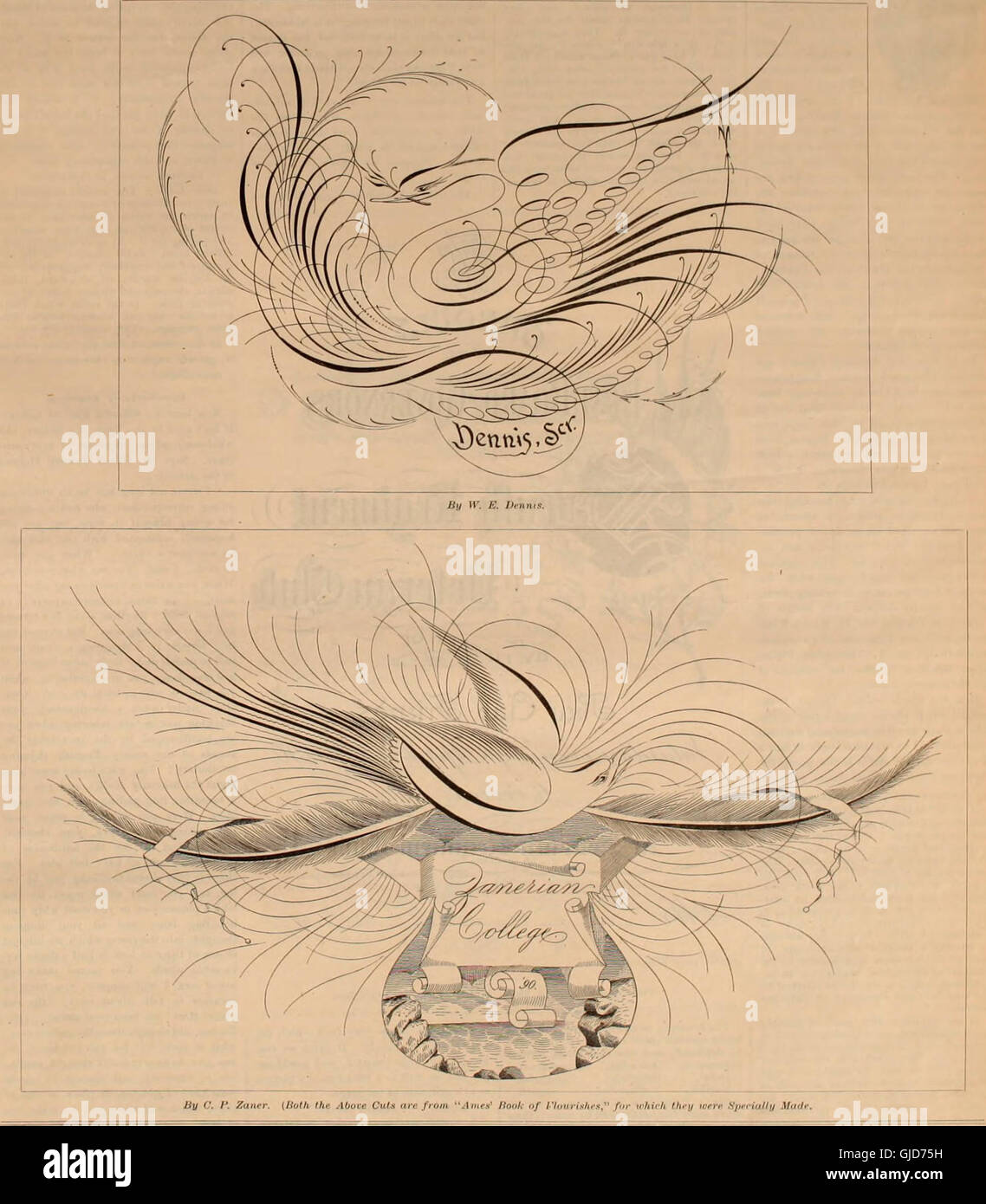 Penmanship technique hi-res stock photography and images - Alamy