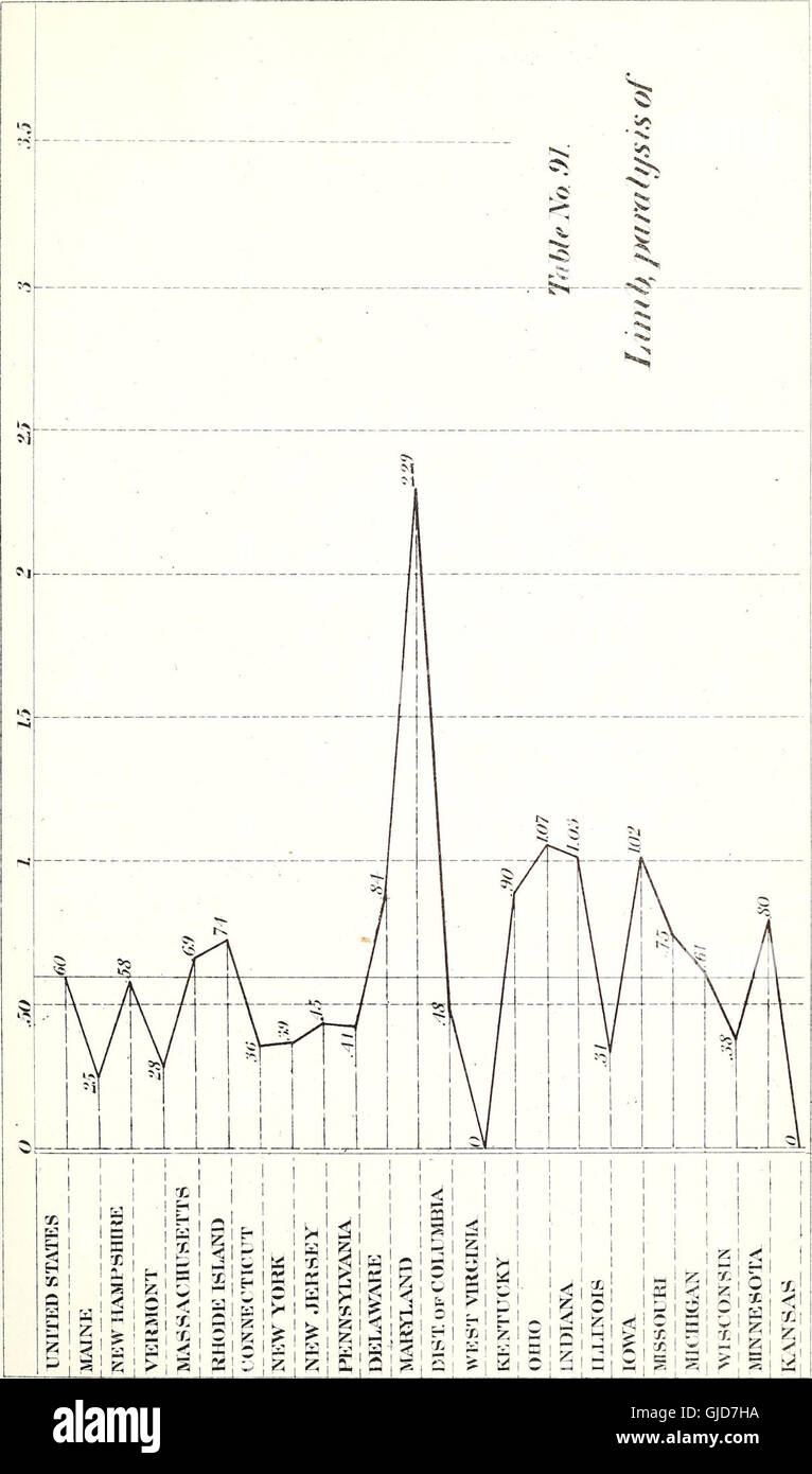 This report, by Brigadier General McCallum and Provost Marshal Fry ...