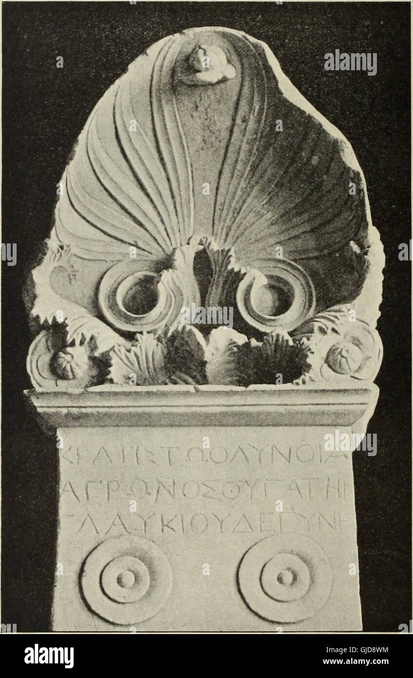 This 1896 work examines the origins of the Greek acanthus ornament ...