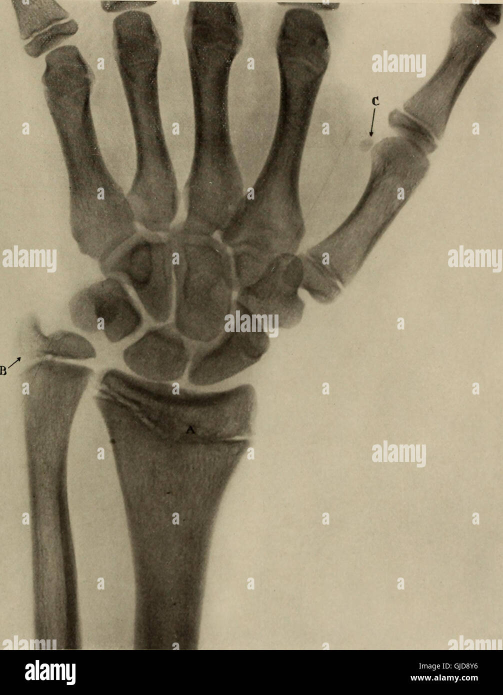 This 1910 work explores the living human body in relation to its ...