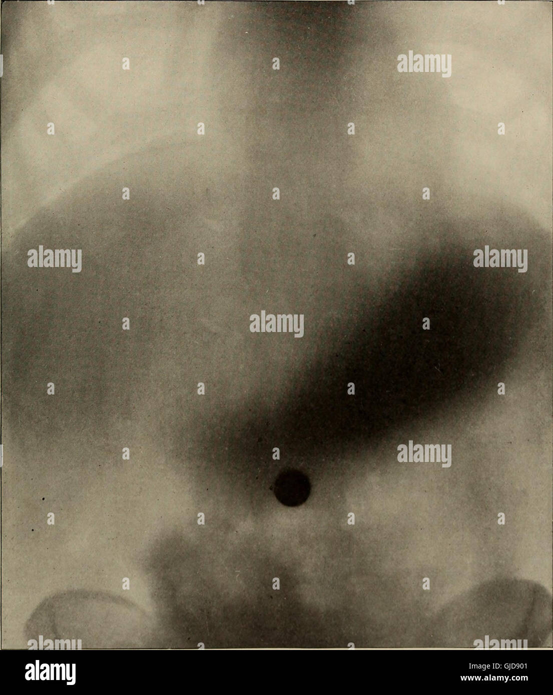 *Living Anatomy and Pathology* (1910) explores the relationship between ...