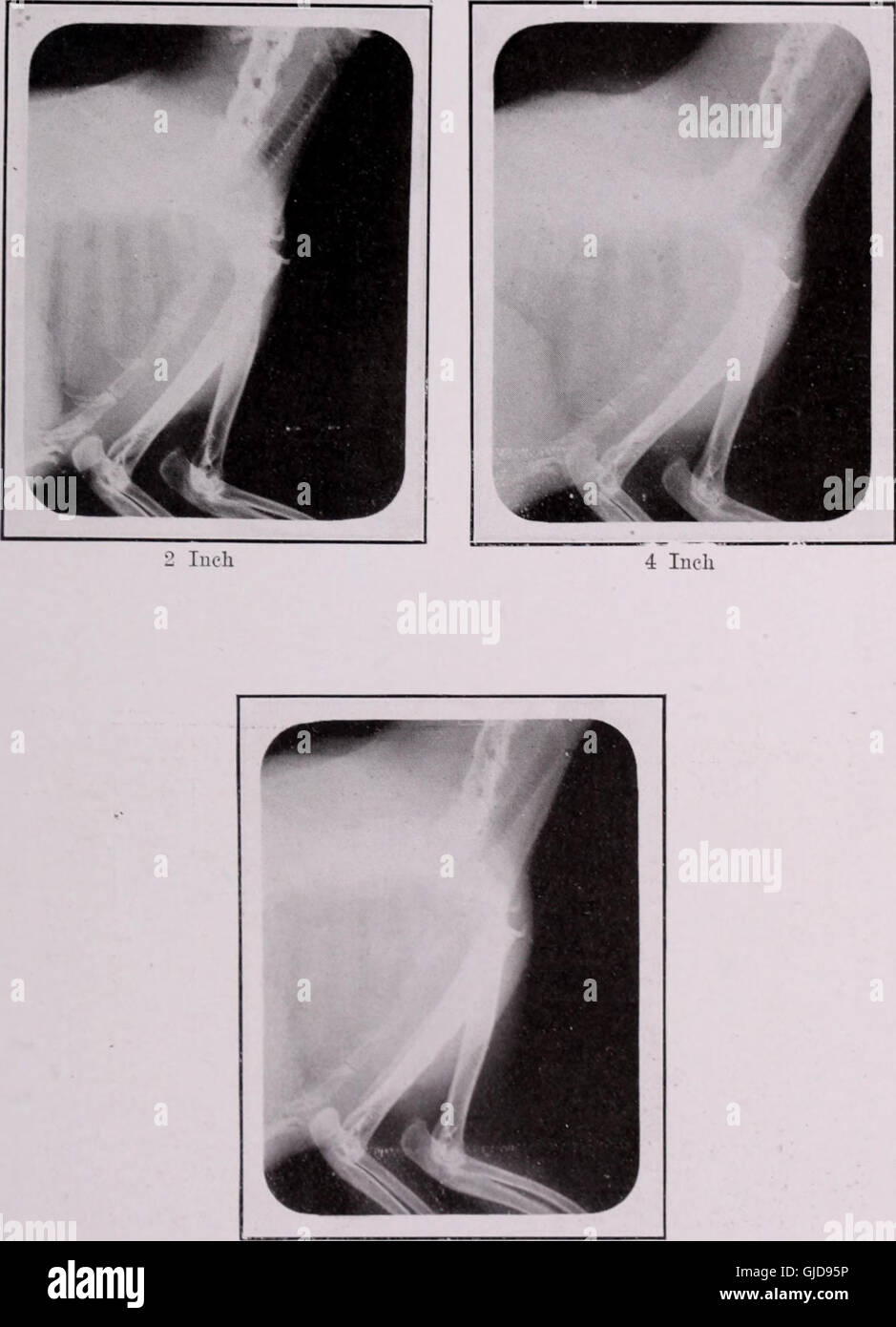 The 1921 edition of the Journal of Radiology covers advancements in ...