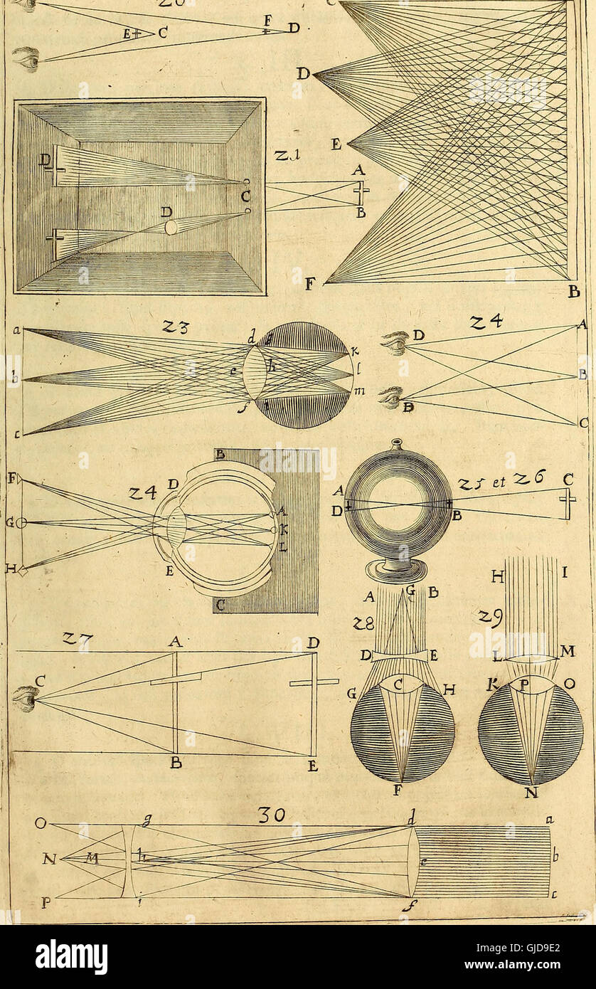 Nervus opticus sive tractatus theoricus hi-res stock photography and ...