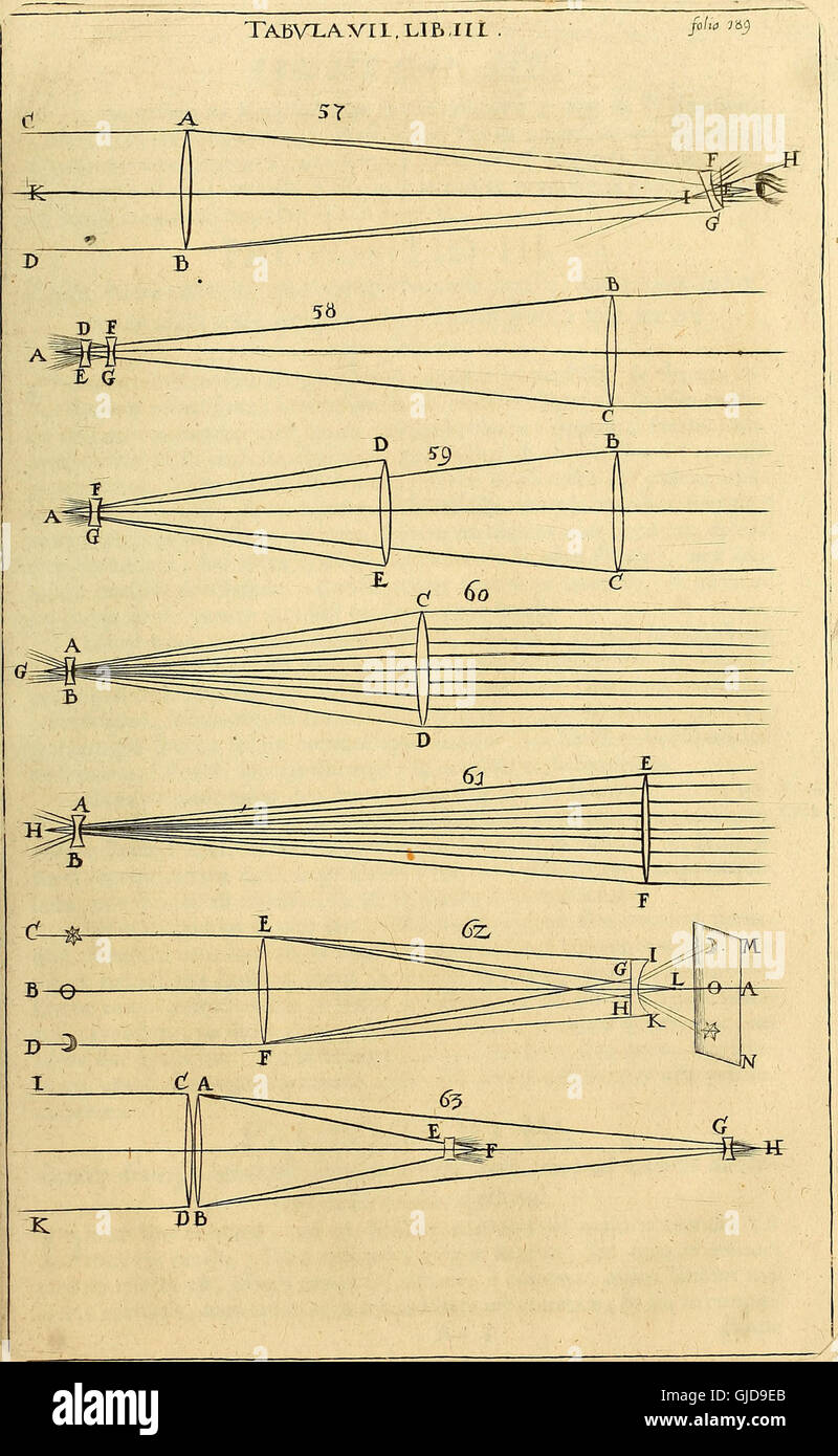 This theoretical treatise discusses the optic nerve, light processes ...