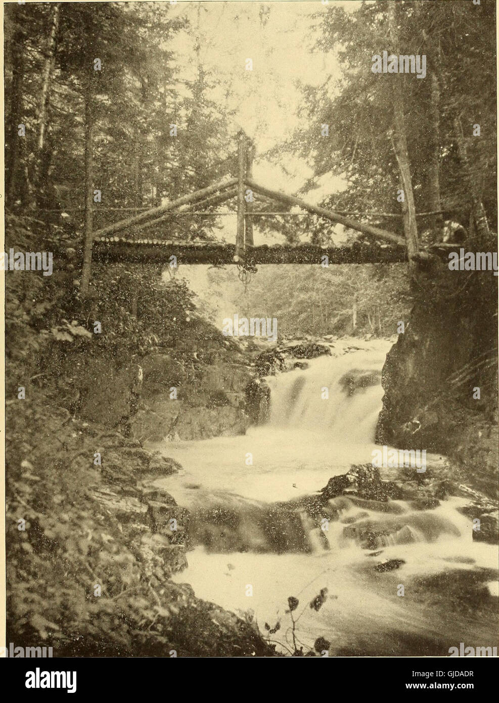 The 1897 Annual Report of the Commissioners of Fisheries, Game, and ...