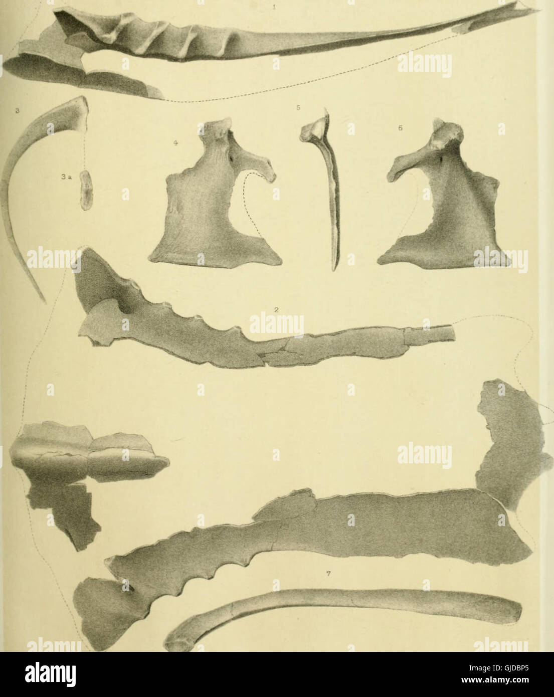 The 1870 report details the geological exploration conducted along the ...