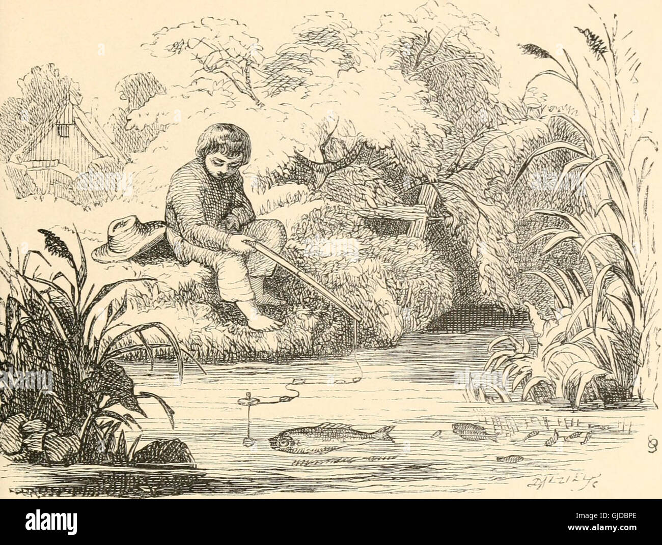 Picture Fables (1858) is a collection of illustrated moral stories ...